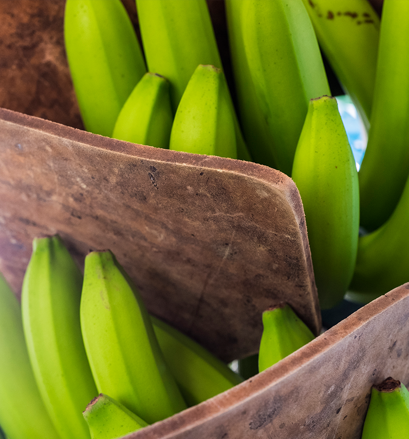 Del Monte Espana - Compania | Fresh Del Monte